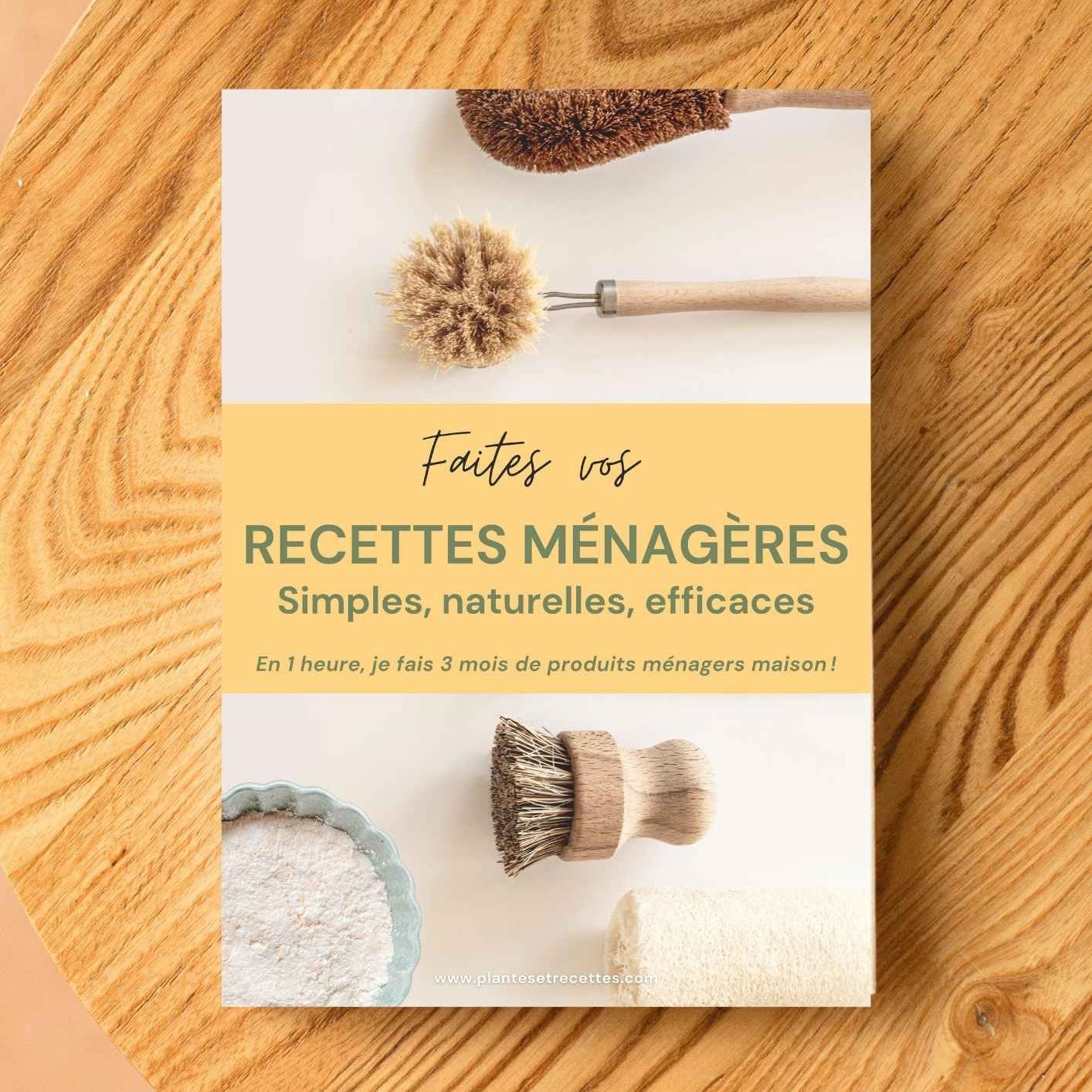 Recettes ménagères maison : guide pour tout faire soi-même – Plantes ...